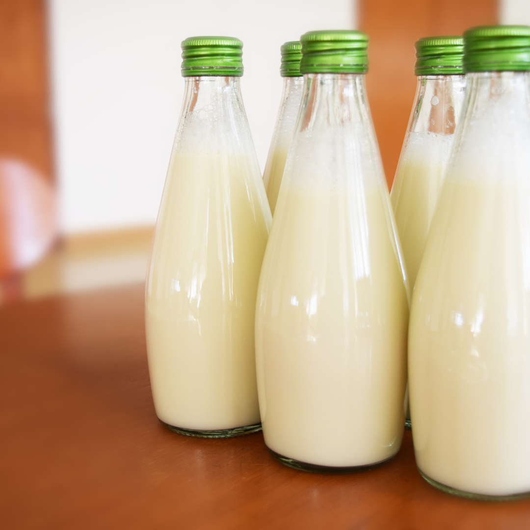 Why Filtered Water is Essential for Making the Best Plant Milk – milkyplant